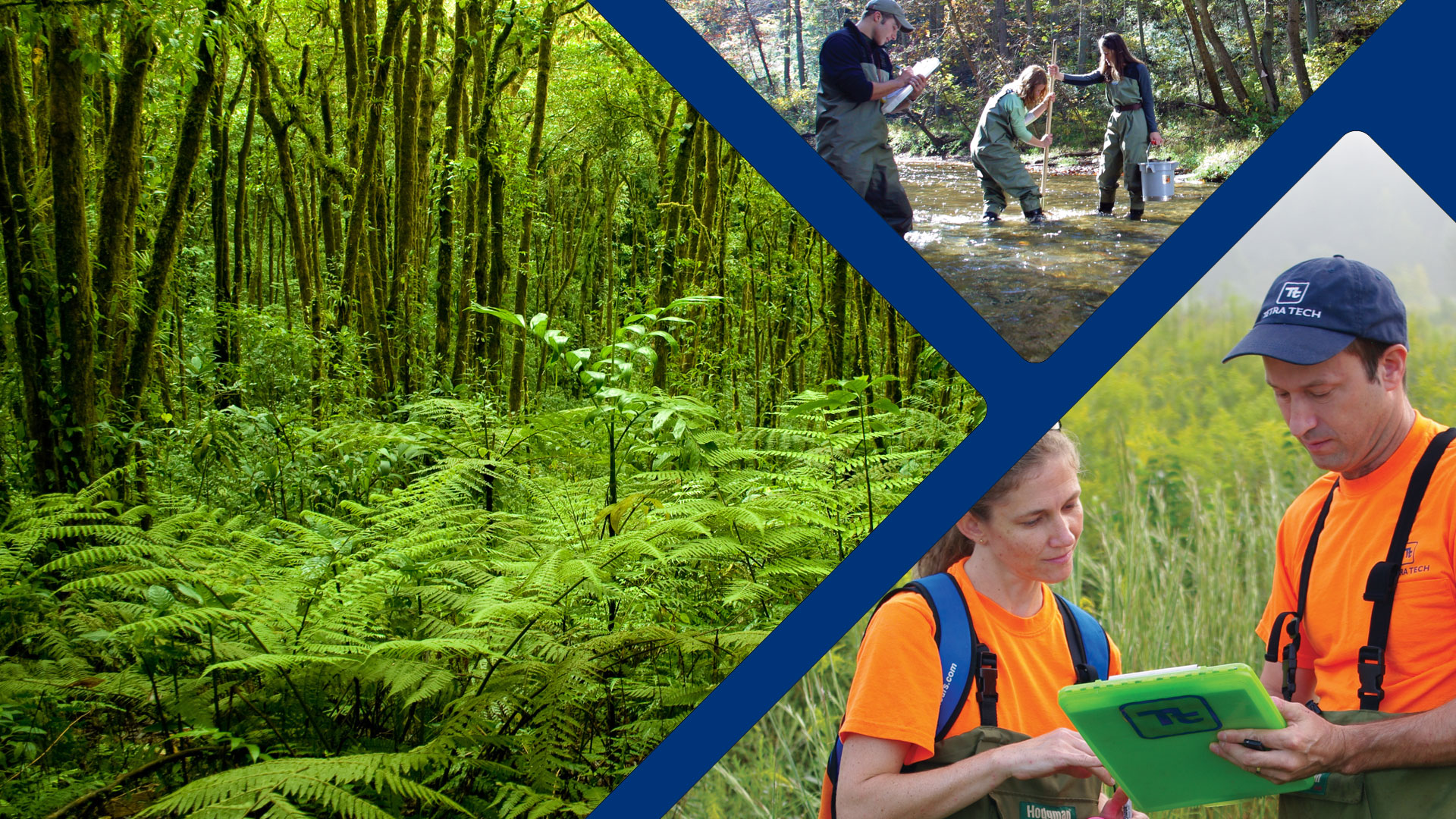 Digital Brochures – Tetra CONNECT