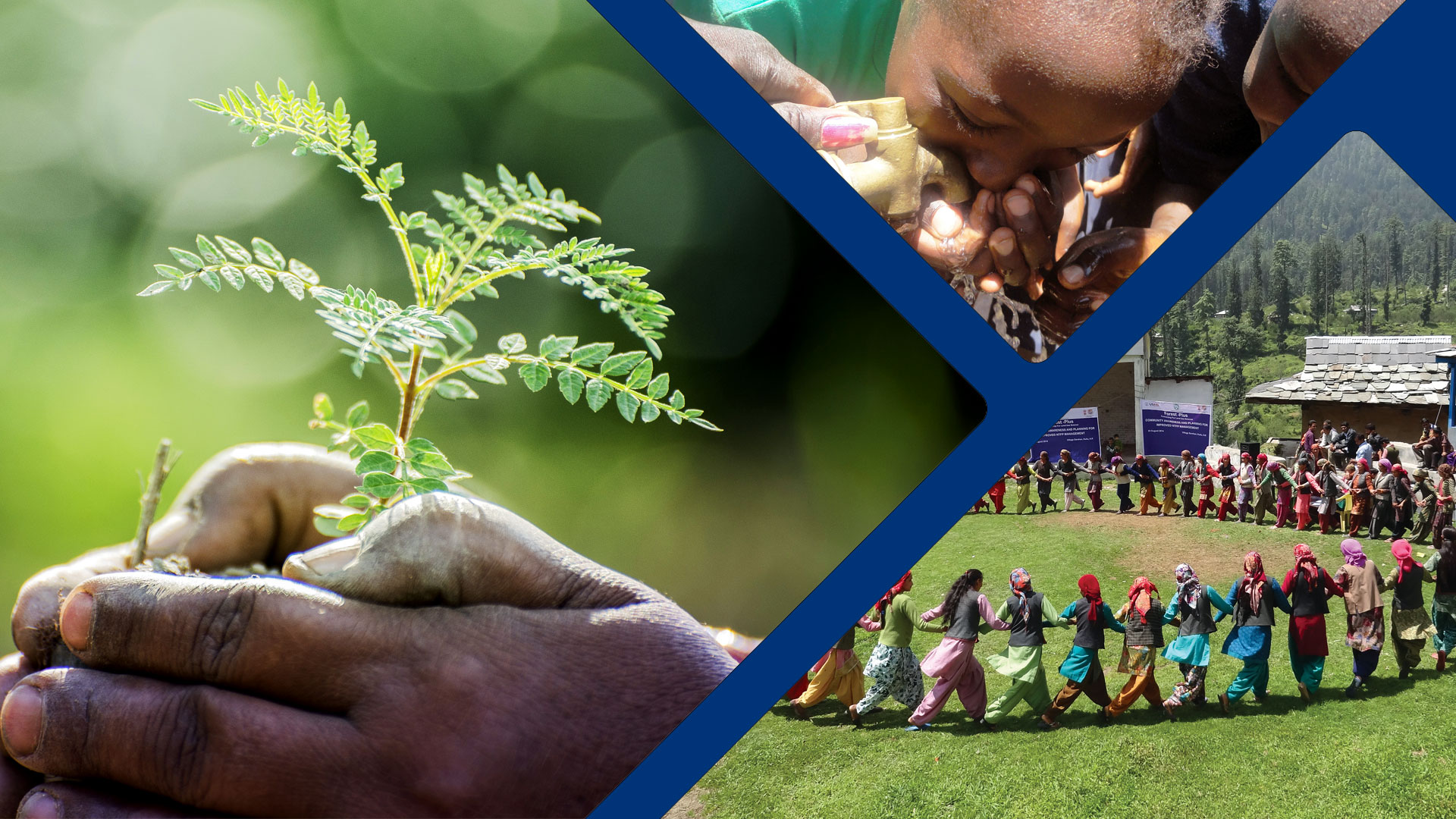 Digital Brochures – Tetra CONNECT